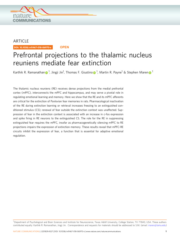Prefrontal Projections To The Thalamic Nucleus Reuniens Mediate Fear Extinction | PDF