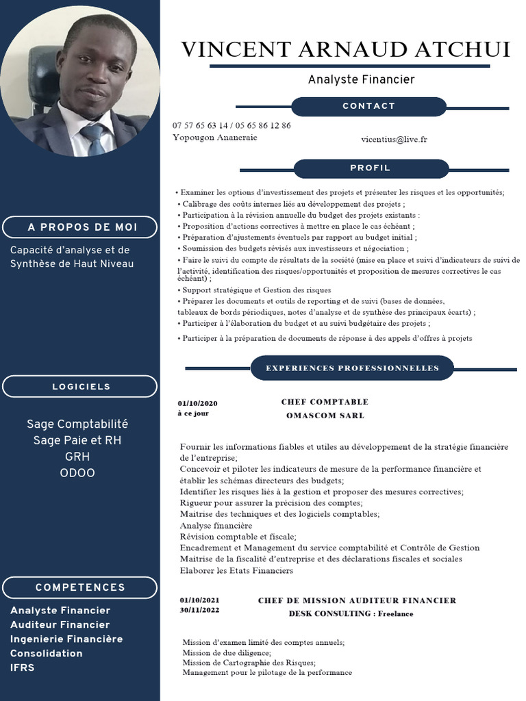 CV ATC VINCE Contrôleur Interne Senior | PDF