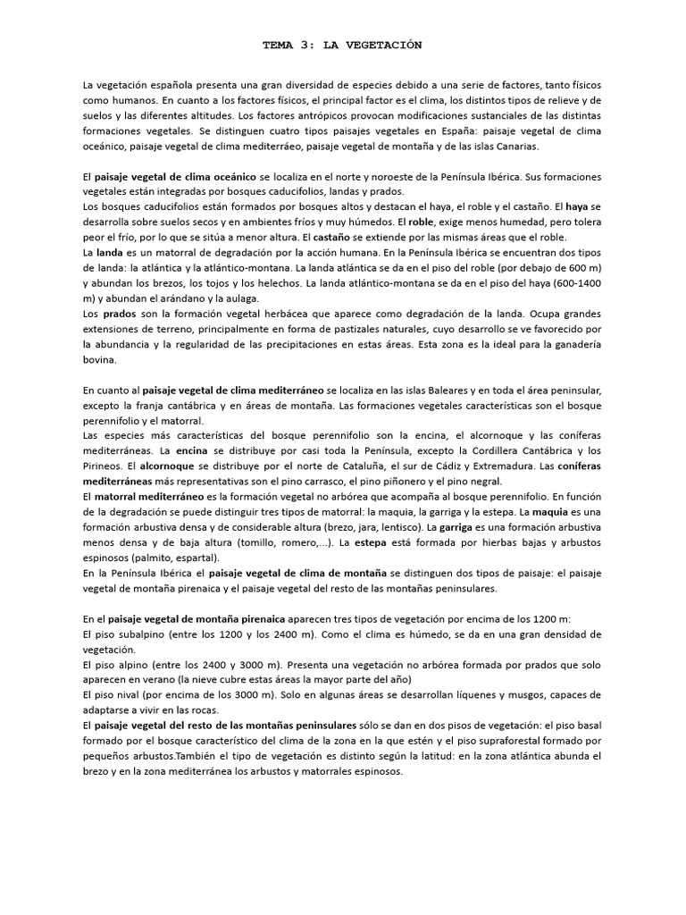 Vegetación | PDF | Islas Canarias | Hogar, jardinería y bricolaje