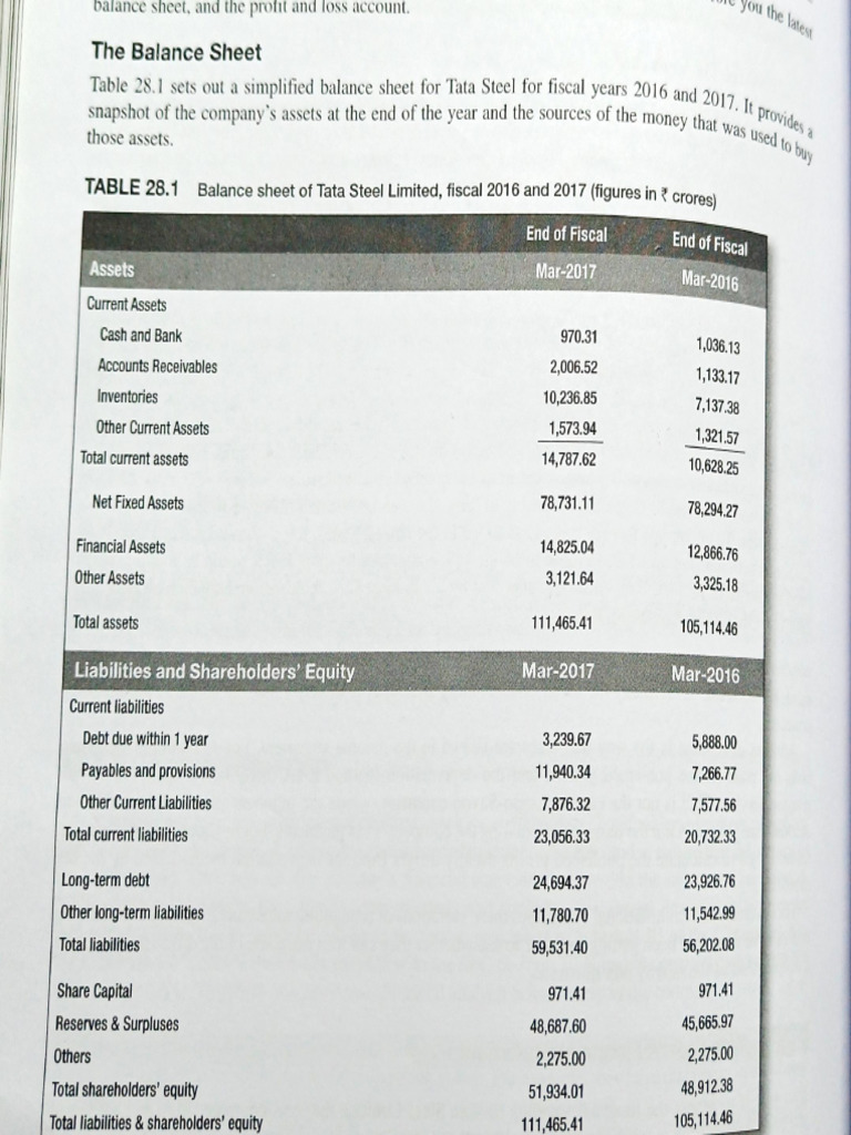 Tata Steel Balance Sheet and P&L | PDF