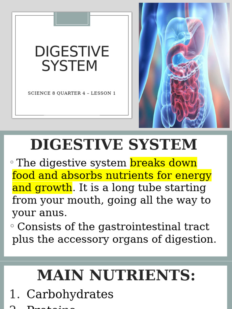 Digestive System Science 8 Q4 M1 3 | PDF
