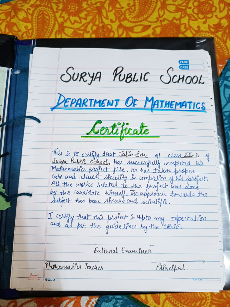 Maths Activity File | PDF