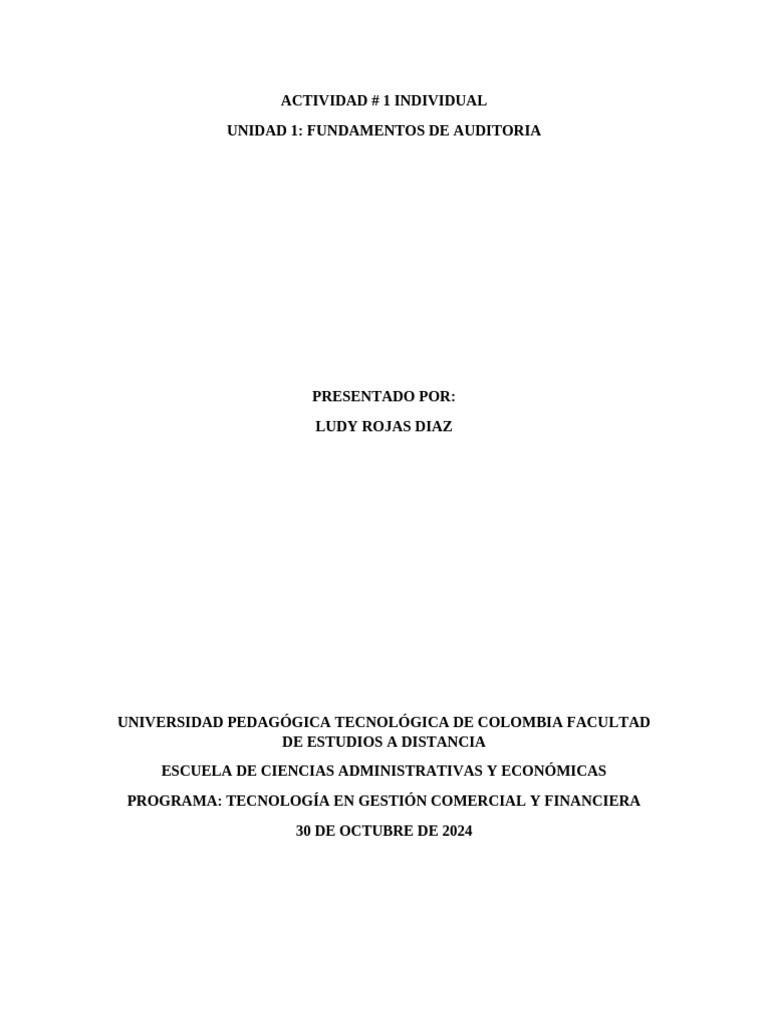 ACTIVIDADN°1 | PDF | Auditoría | Finanzas y administración del dinero ACTIVIDADN°1 | PDF | Auditoría | Finanzas y administración del dinero