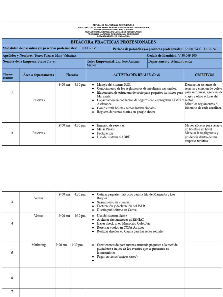Bitácora Prácticas Profesionales | PDF