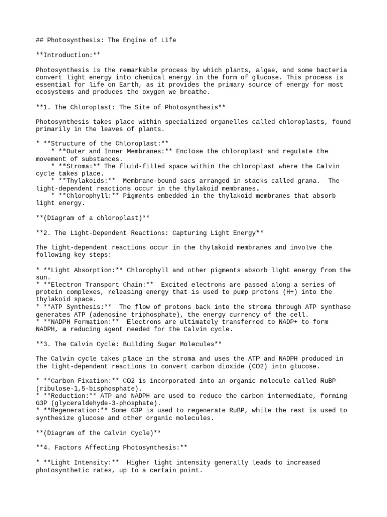 Photosynthesis - The Engine of Life | PDF