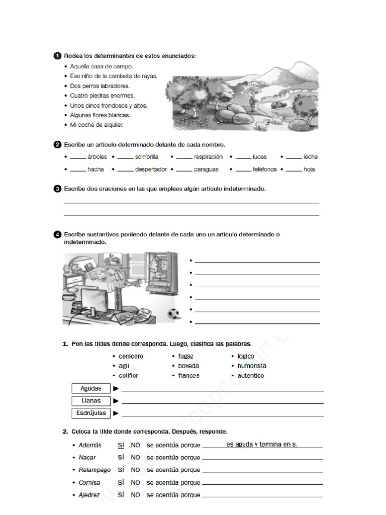 Examen tema 2 | PDF