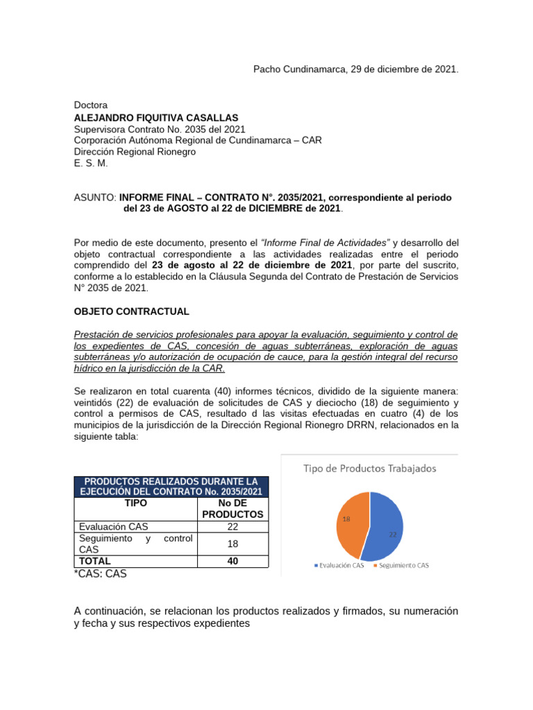 Informe de Gestion Final | PDF