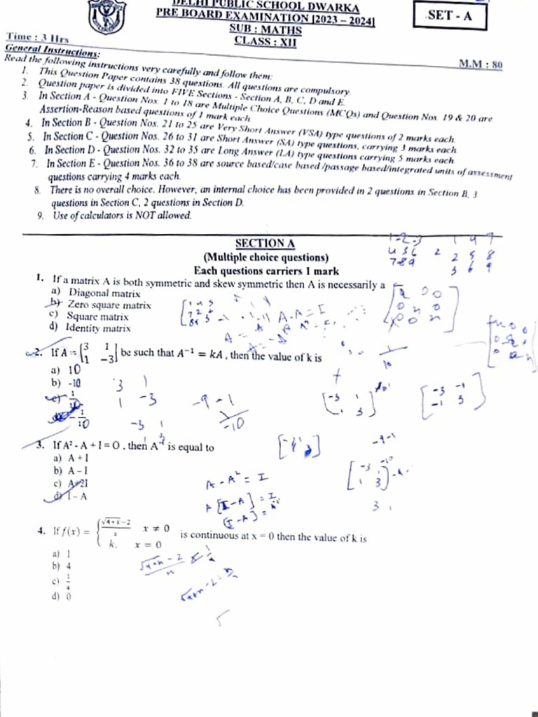 Delhi Public School Pre Boards Maths | PDF | Mathematics | Mathematical Analysis