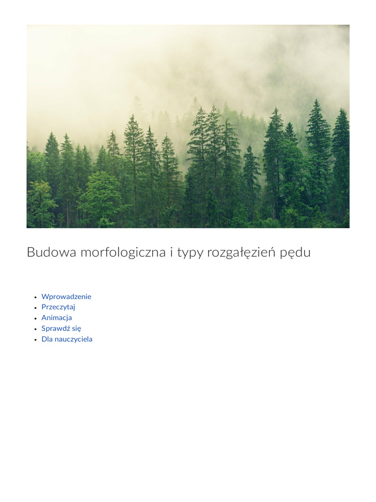 Budowa Morfologiczna I Typy Rozgalezien | PDF