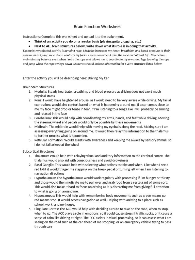 Brain Function Worksheet | PDF