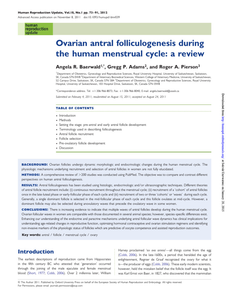 Ovarian Antral Folliculogenesis During Baerwald 2011 | PDF