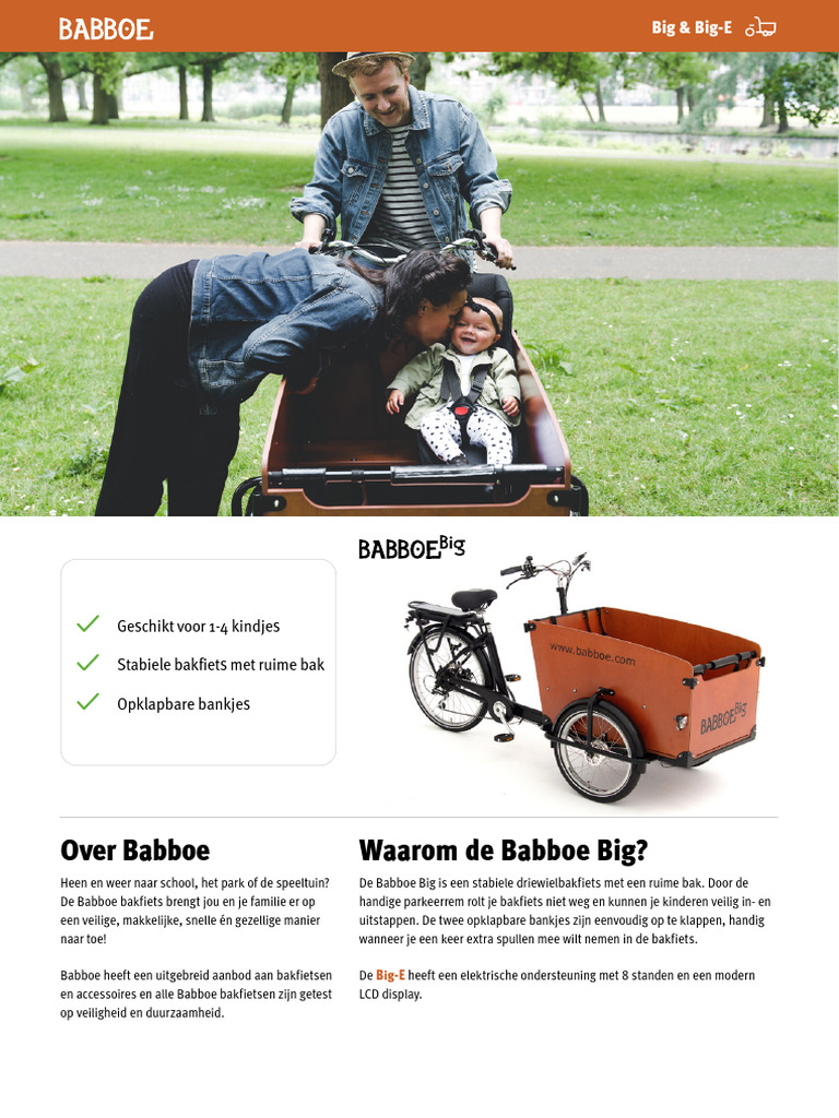 Babboe Big Specifications 2021 NL 793d | PDF