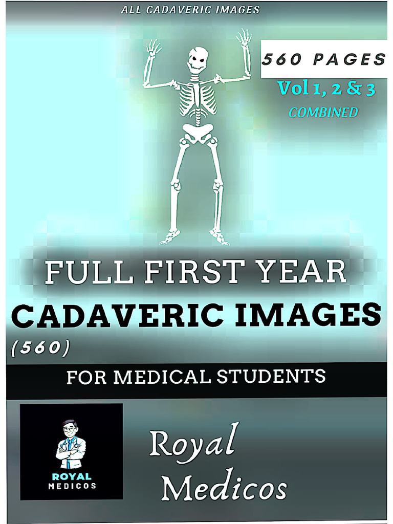 Cadaveric Images | PDF