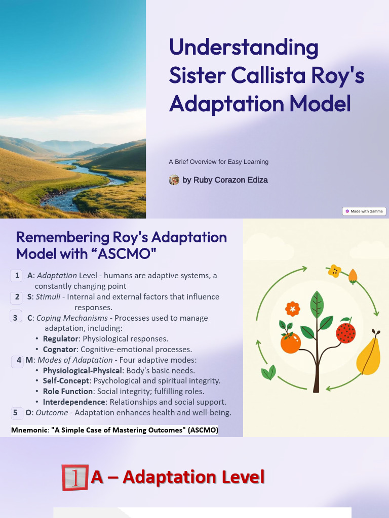 Roys-Adaptation-Model Student S | PDF