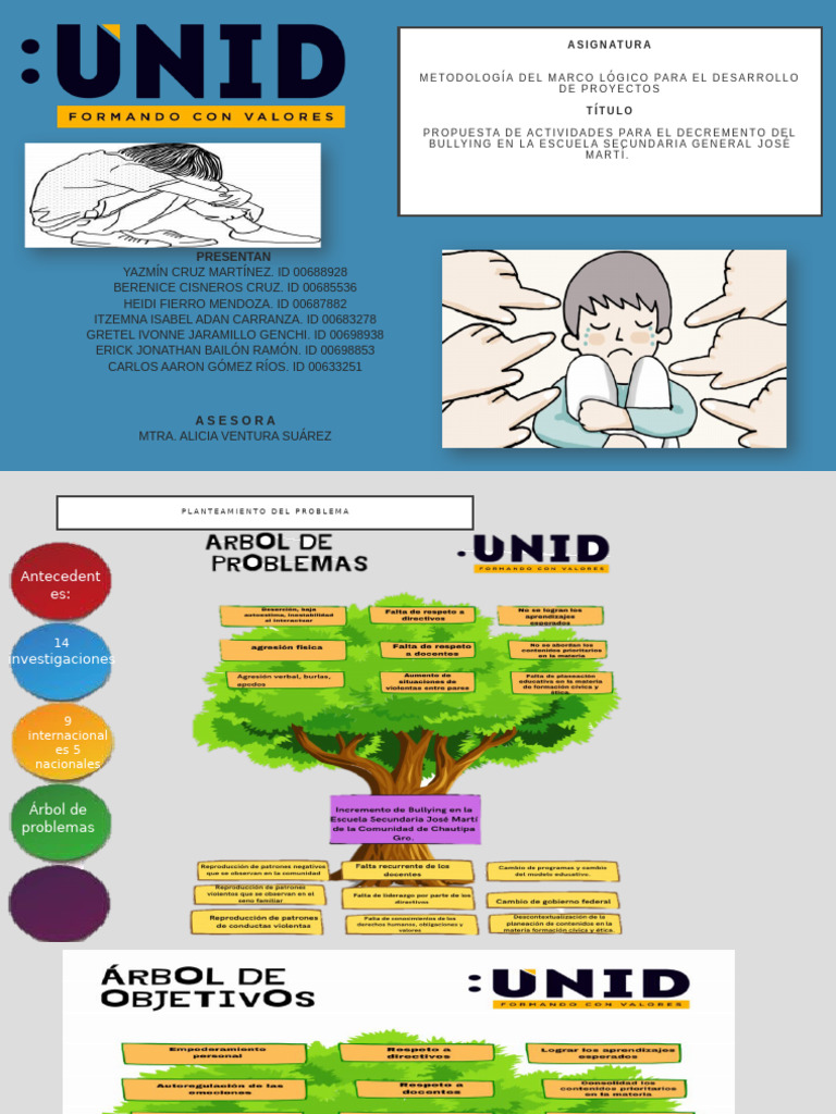 Diapo Proyecto | PDF