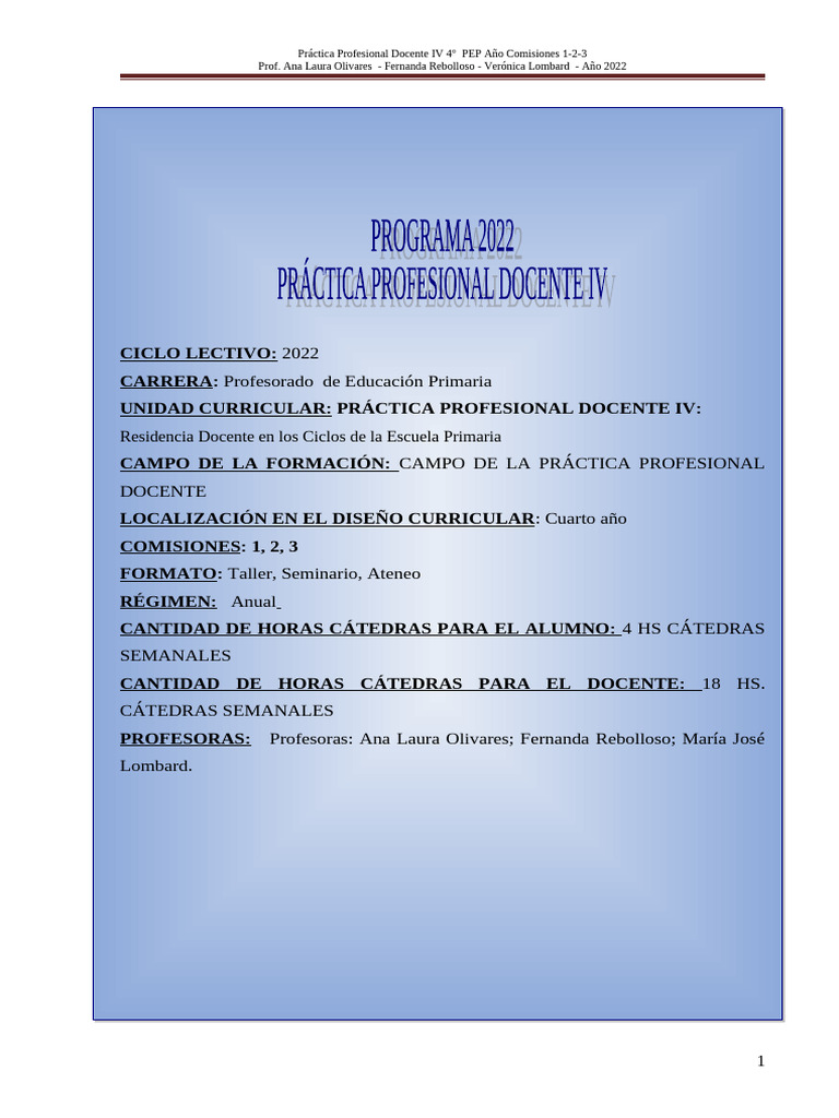 Programa 2022 Practica Iv | PDF