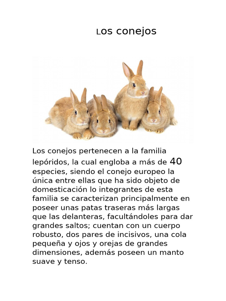 Los Conejos Monografia | PDF