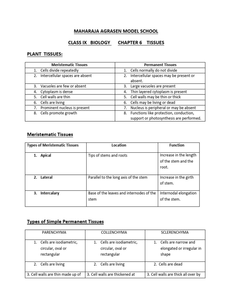 Chapter 6 Tissues Notes-1 | PDF