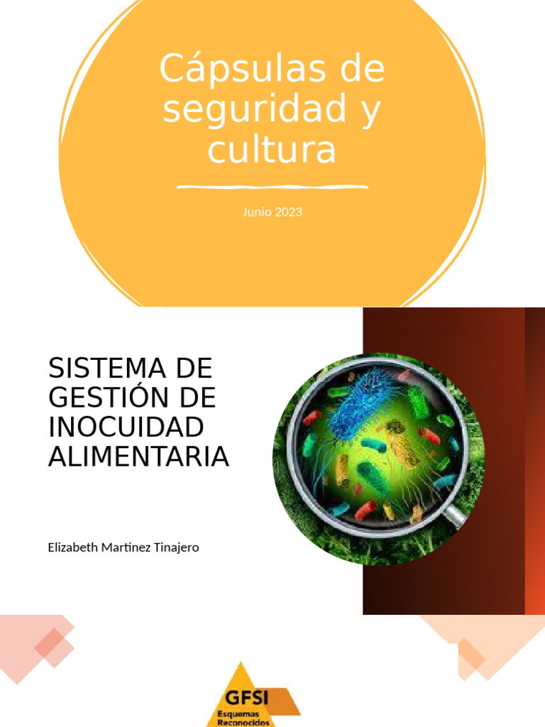 Introducción Al SGIA | PDF
