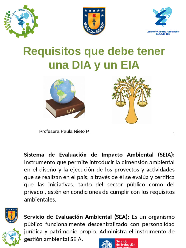 Requisitos Que Debe Tener Una EIA y DIA 2021 | PDF