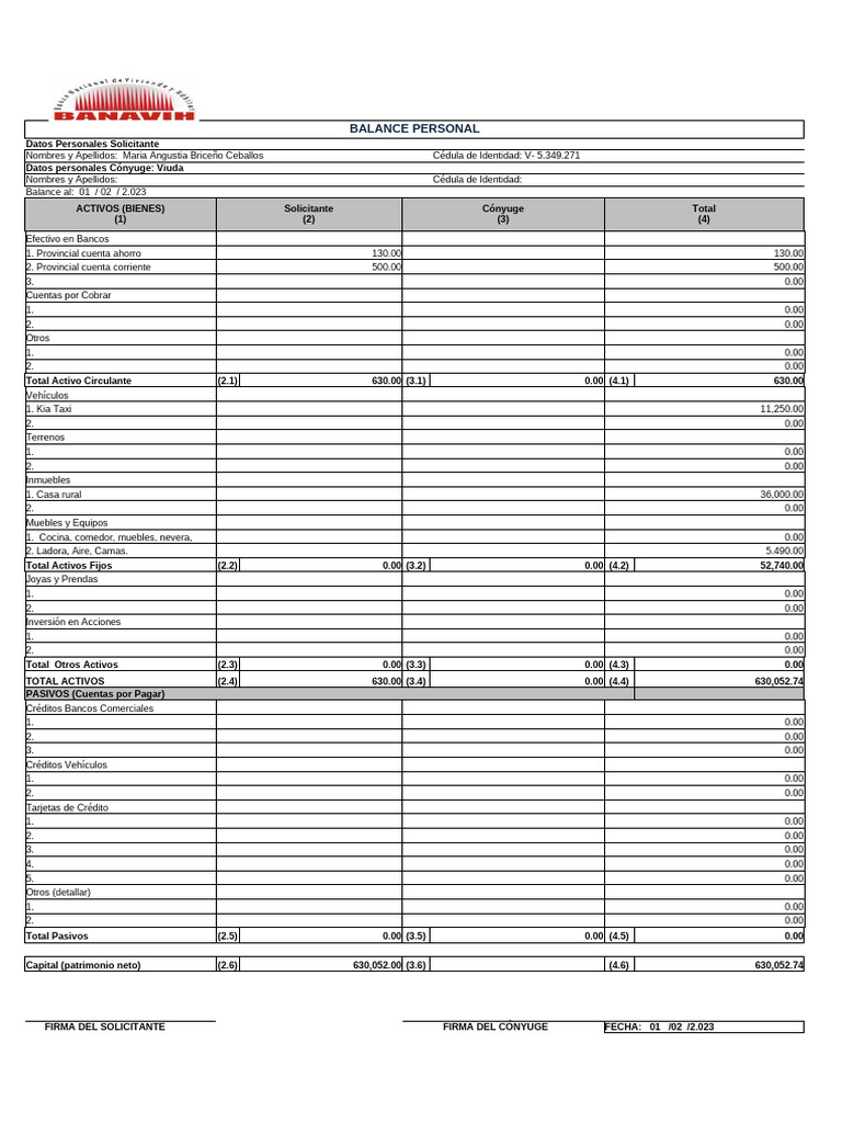 Balance Personal y Activos Financieros | PDF