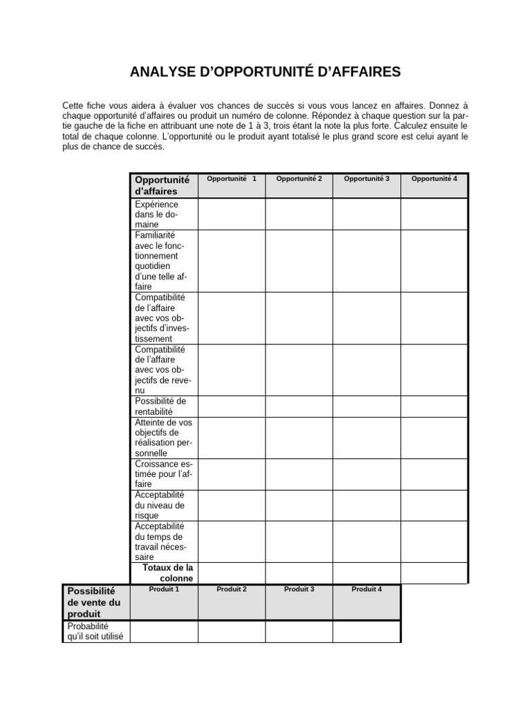 Fiche D - Analyse D - Une Opportunité D - Affaires | PDF