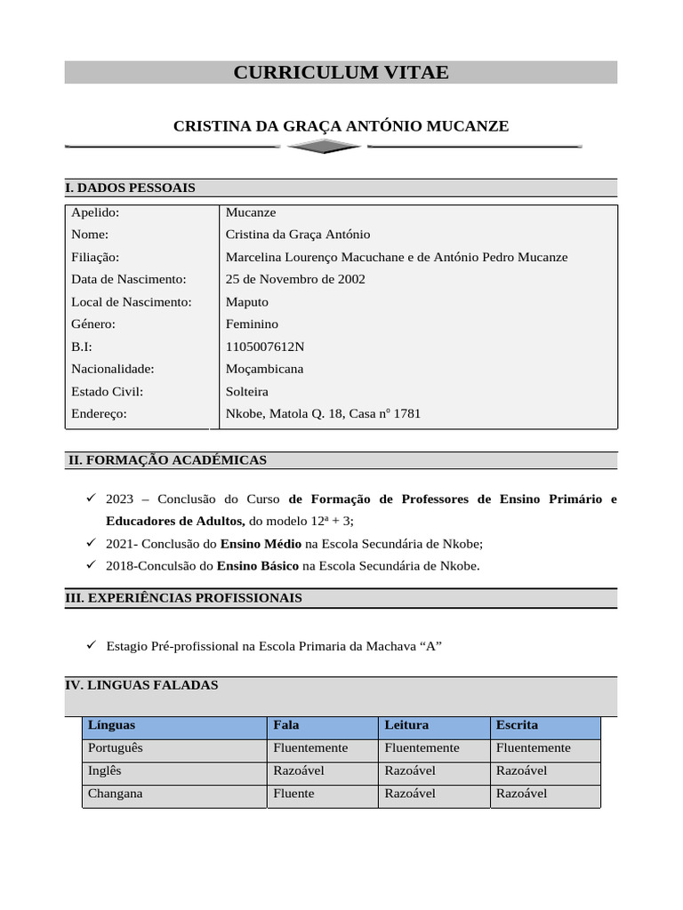 CV - Cristina | PDF