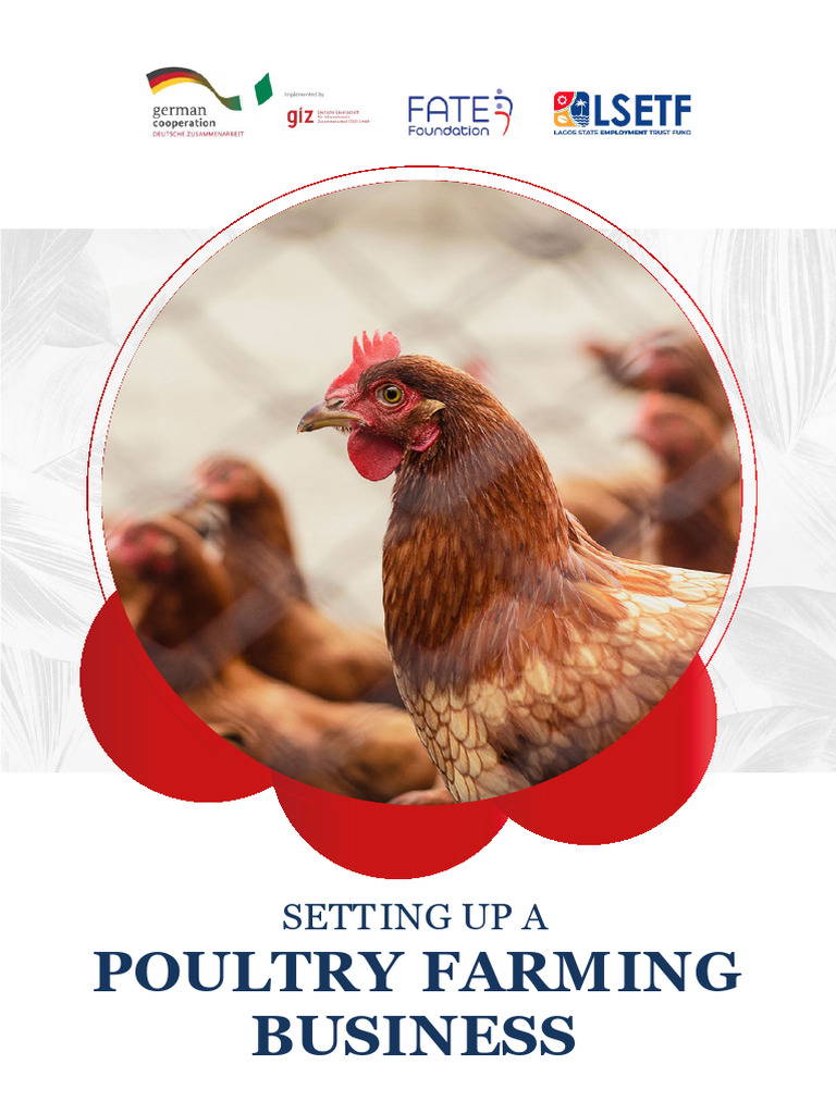 Setting Up A Poultry Business in Nigeria - 0 | PDF | Chicken | Poultry