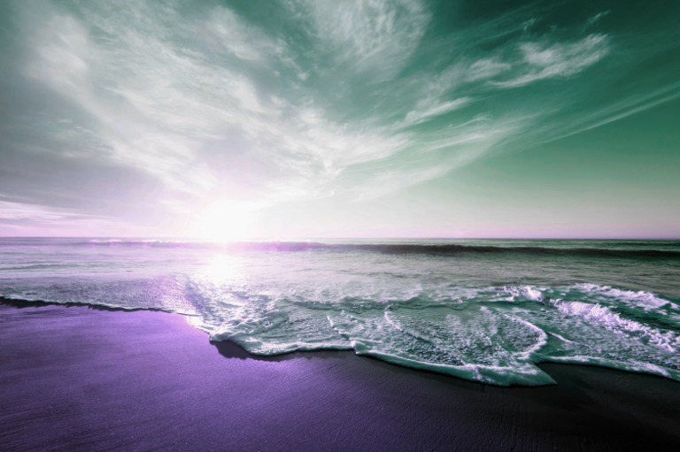 Document Purple Sea | PDF