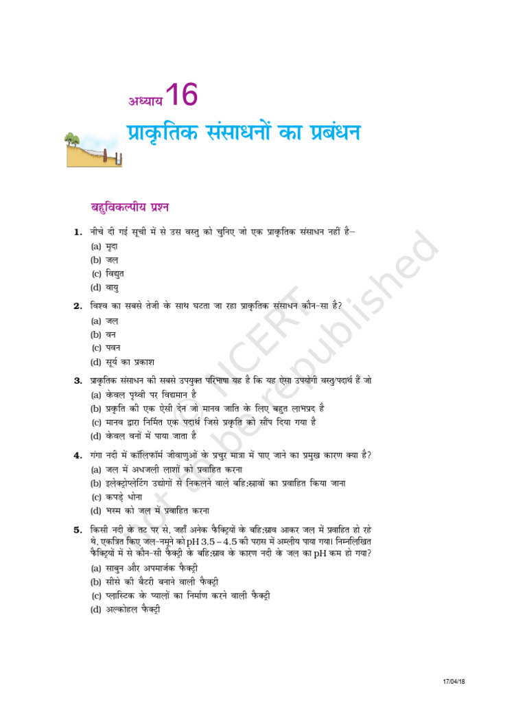 Exampler Ncert | PDF | Foreign Language Studies | Computers