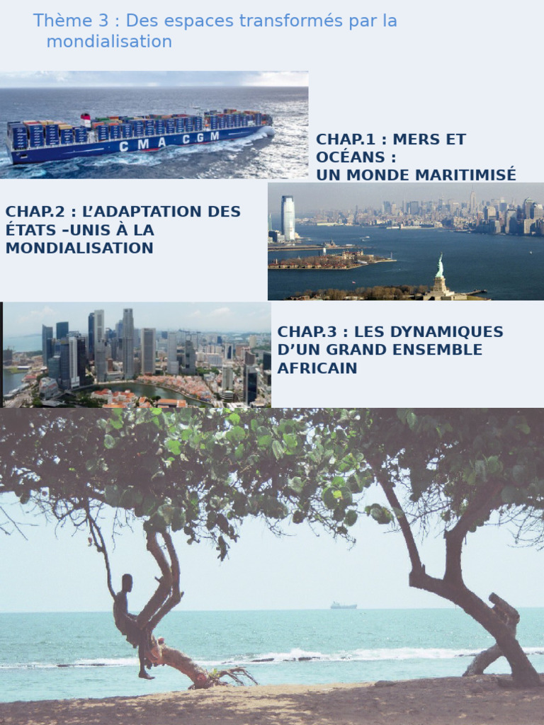 Diapo Les Dynamiques Dun Grand Ensemble Africain | PDF