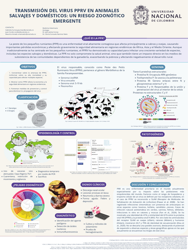 Virología Póster | PDF