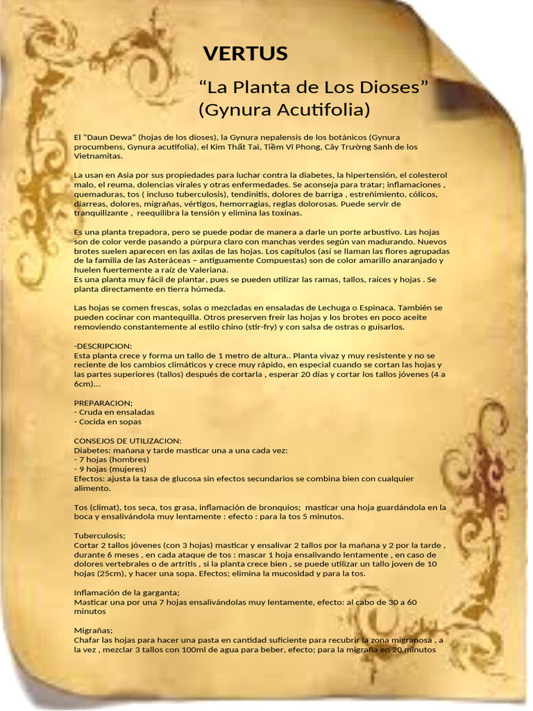 VERTUS | PDF