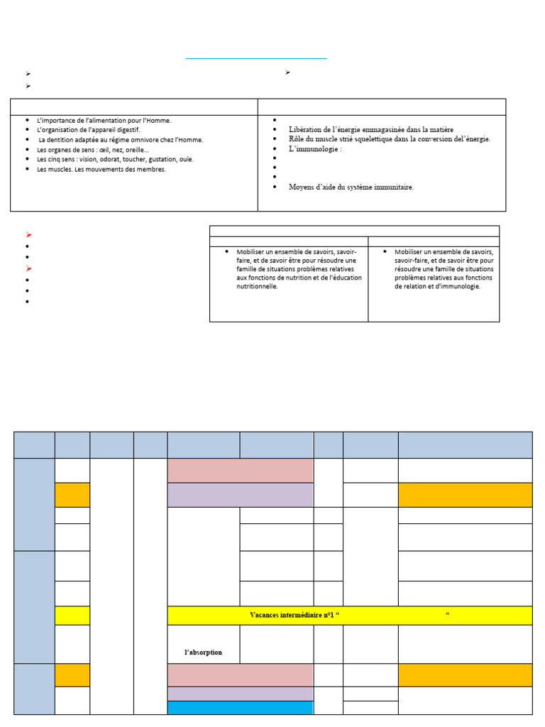 Planification annuelle 3APIC | PDF