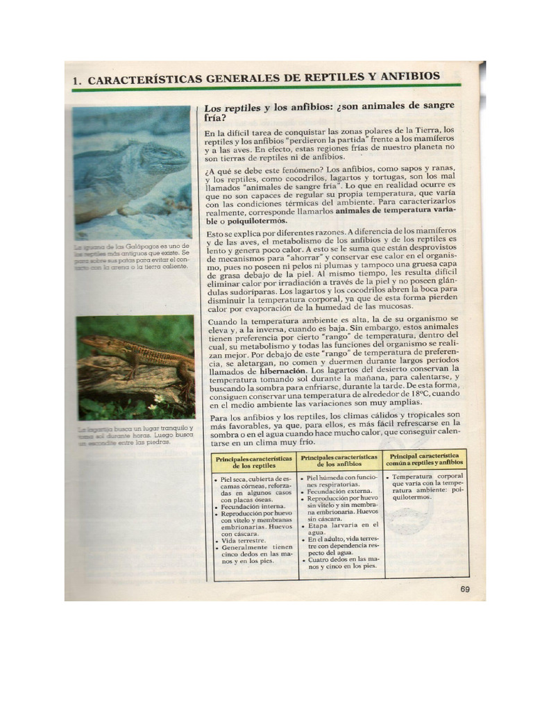 Reptiles y Anfibios | PDF