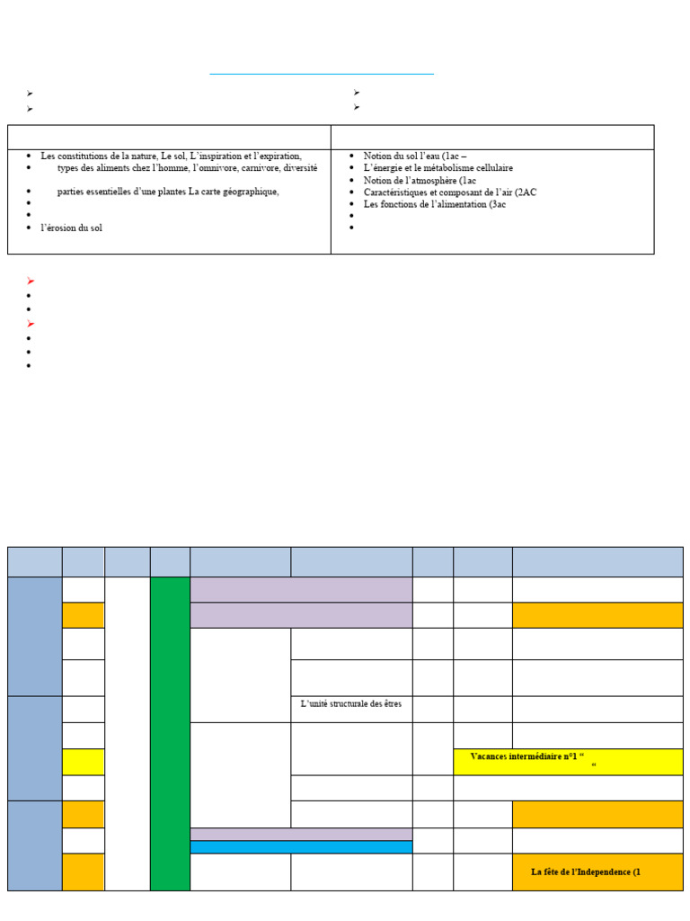Planification Annuelle 1APIC | PDF