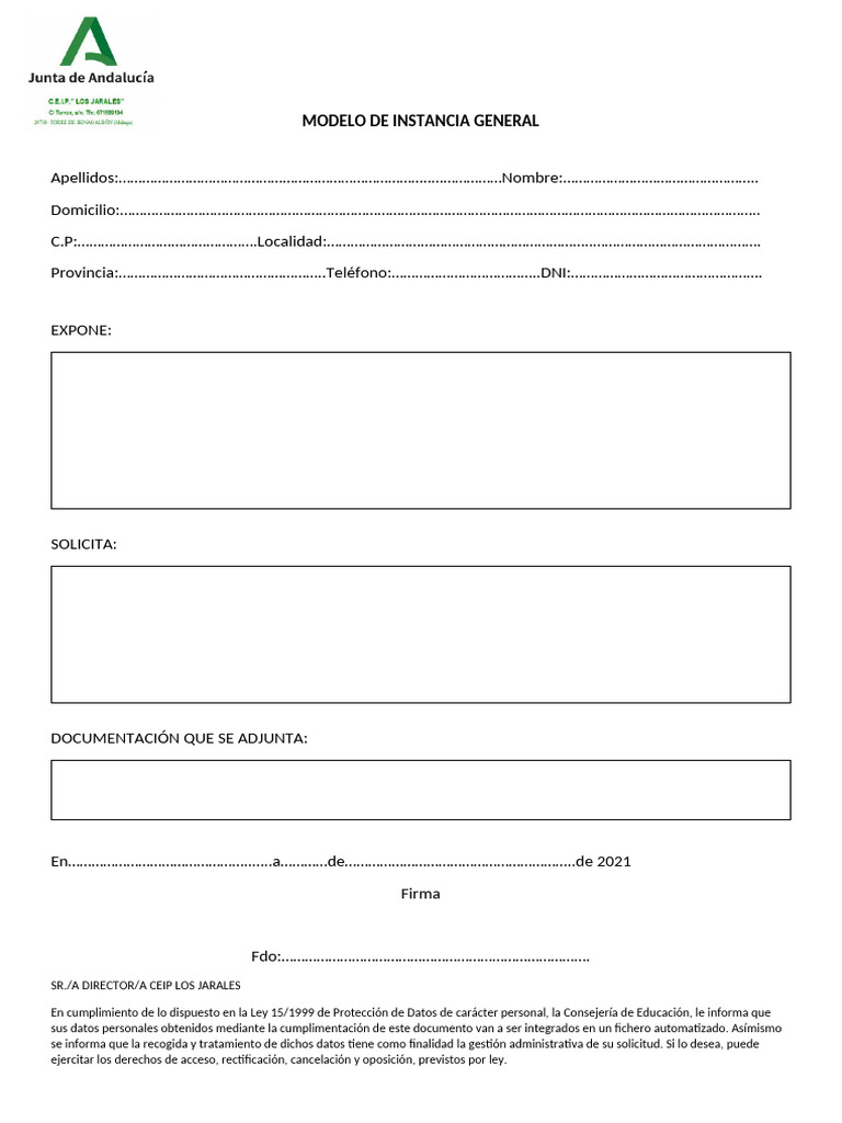 Modelo de Instancia General | PDF