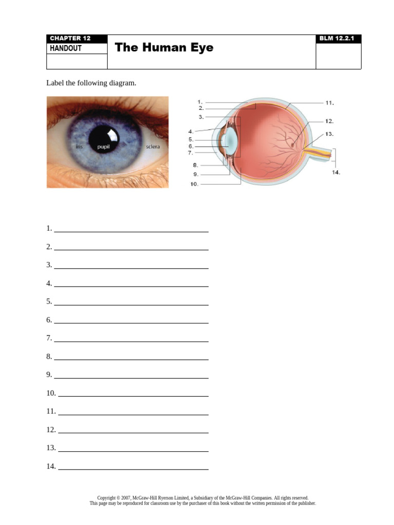 12.2.1 The Human Eye - HAND | PDF