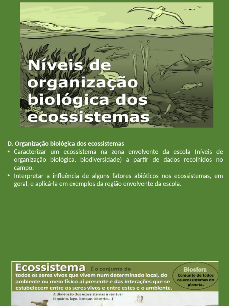 3º PPT Organização Biologica Dos Ecossistemas | PDF
