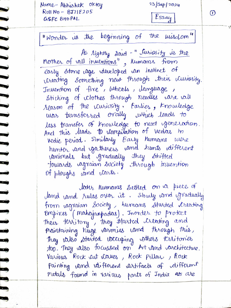 ESSAY | PDF