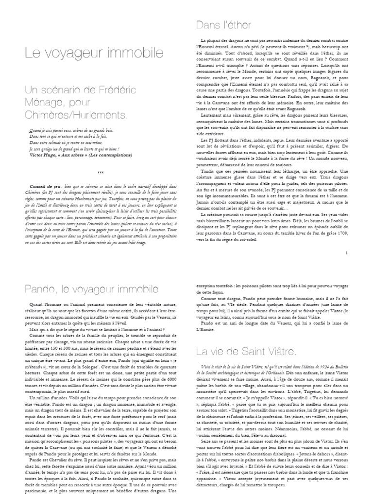 Le voyageur immobile | PDF