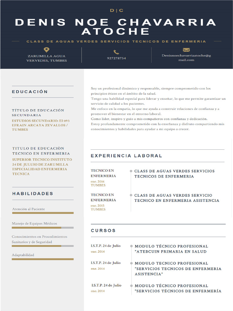 DENIS CV_merged | PDF