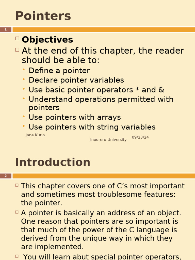 Chap 8 Pointers | PDF