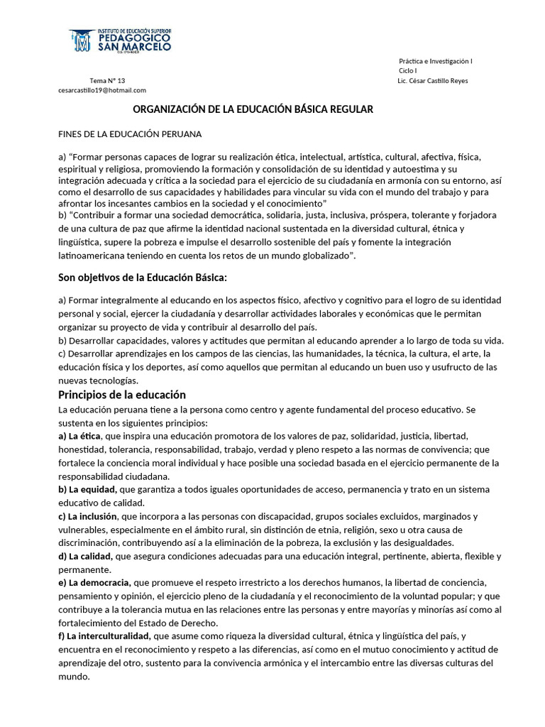 Anizaciójn de La EBR | PDF | Aprendizaje | Educación primaria