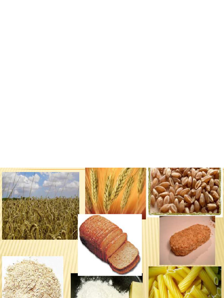 Preparing Cereals and Pasta | PDF
