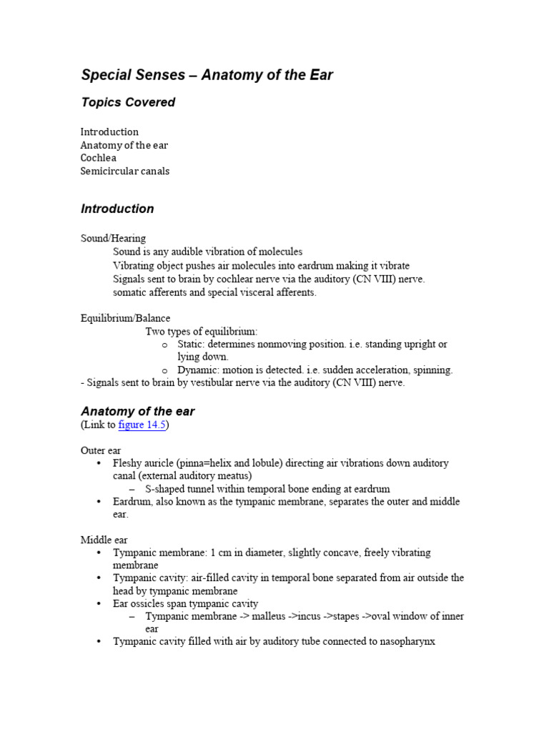 20 - Special Senses - Ear | PDF