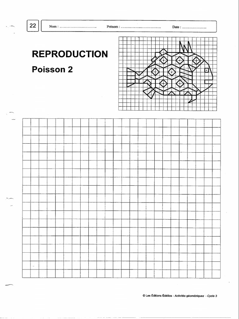 Reproduction Le Poisson | PDF