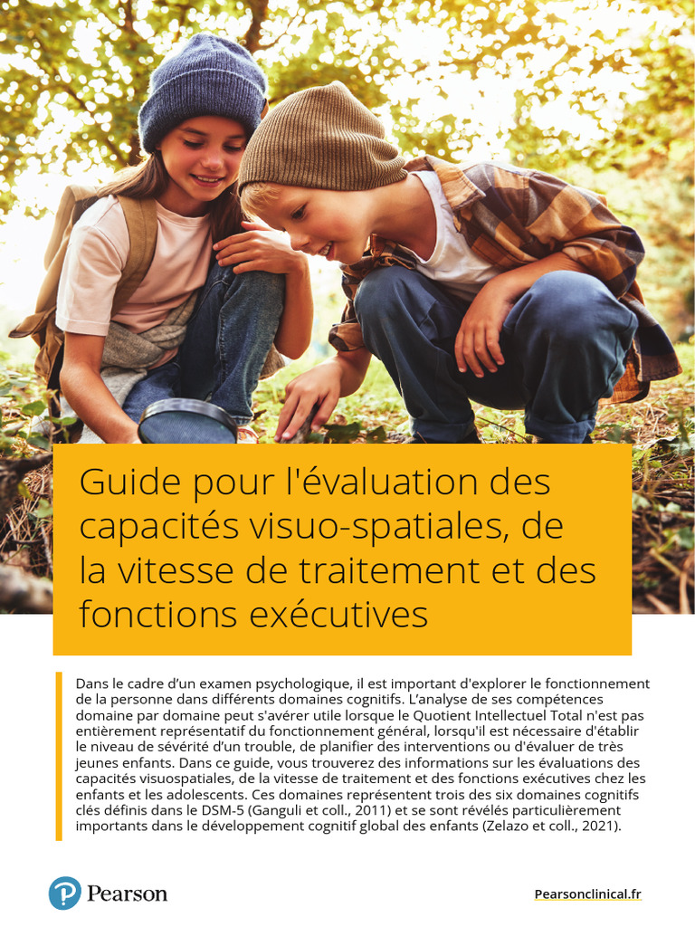 FR Cognitive Development Guide | PDF | Psychiatry