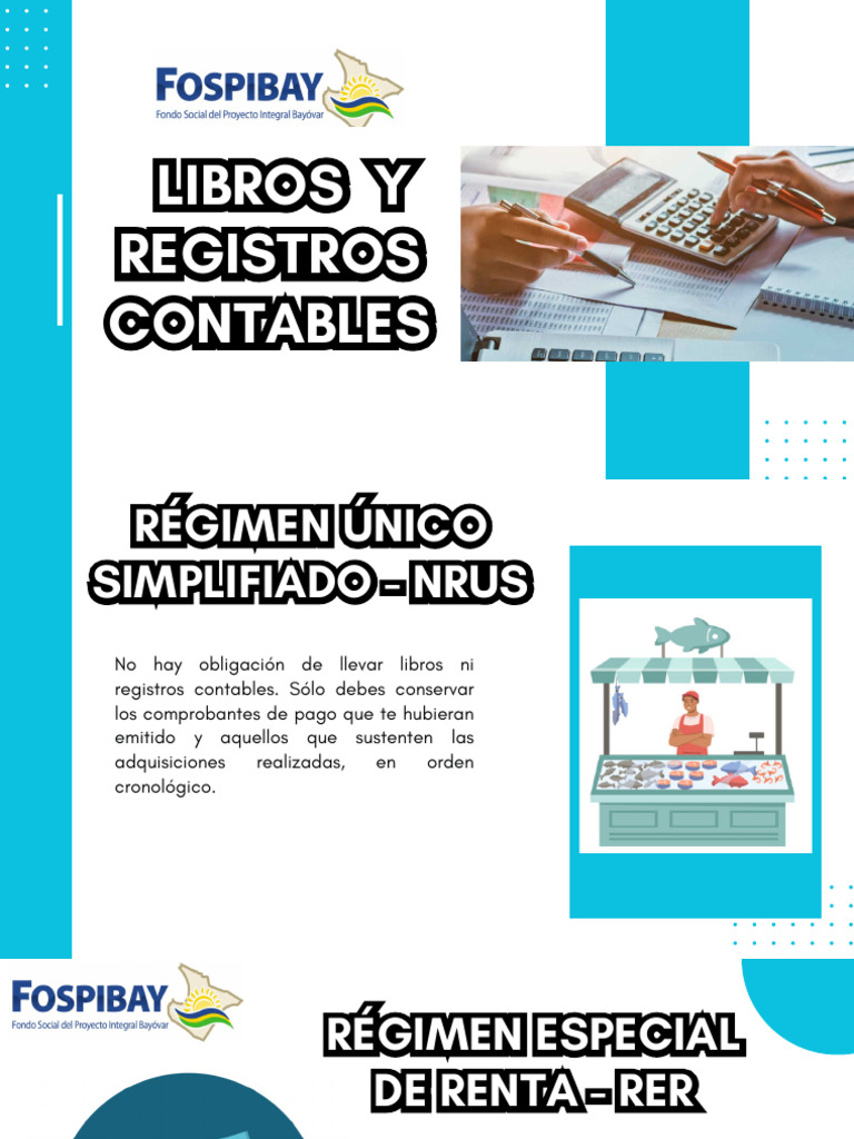 Libros y Registros Contables | PDF