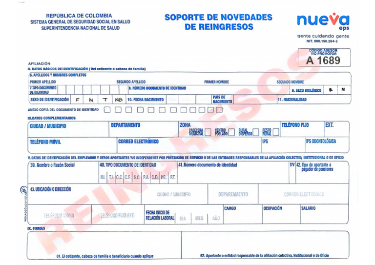 Nuevo Formato Novedades Nueva Eps 2 | PDF